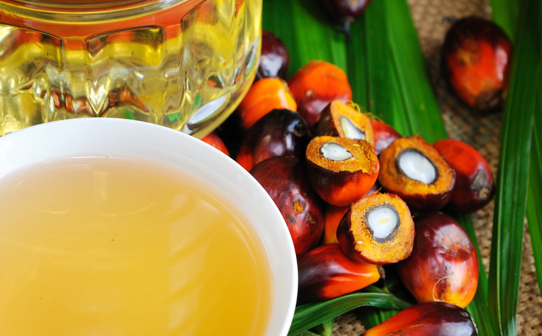 CONTACT – Fine Instrument Technology